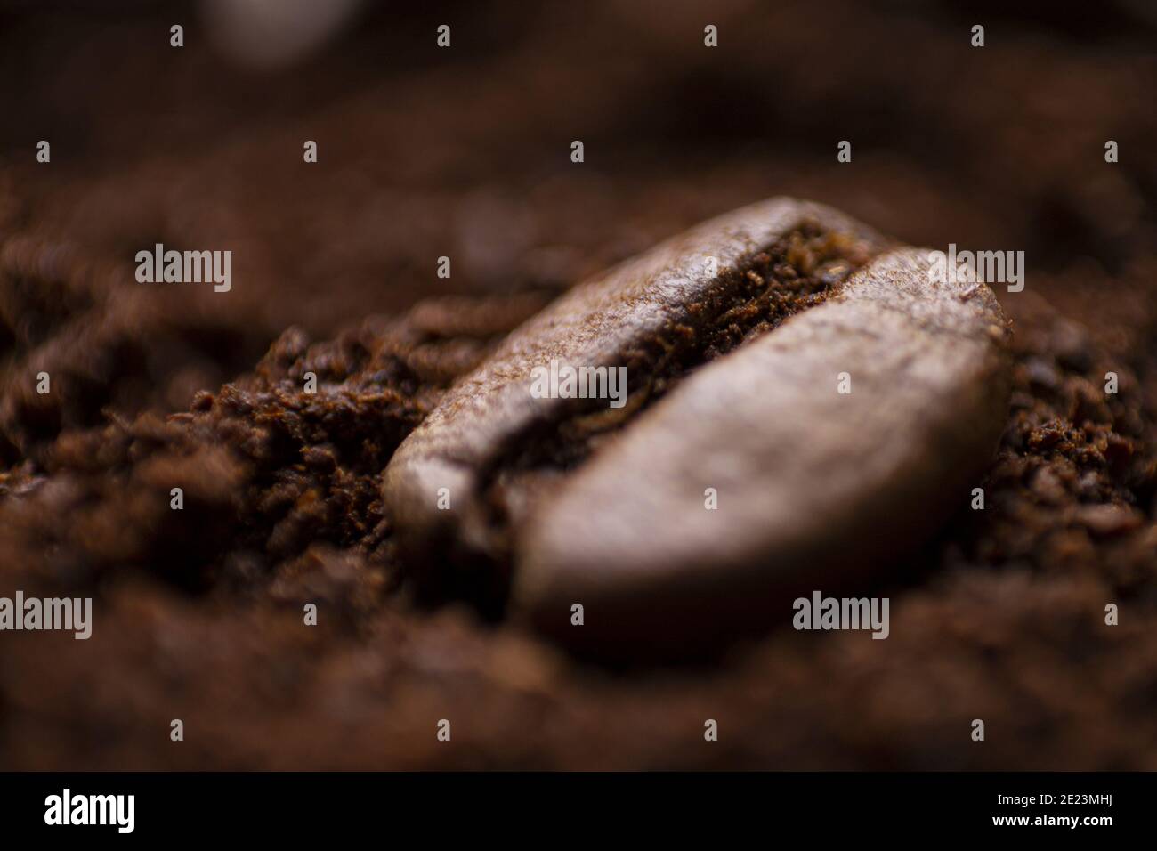 Fresh grounded beans hi-res stock photography and images - Alamy