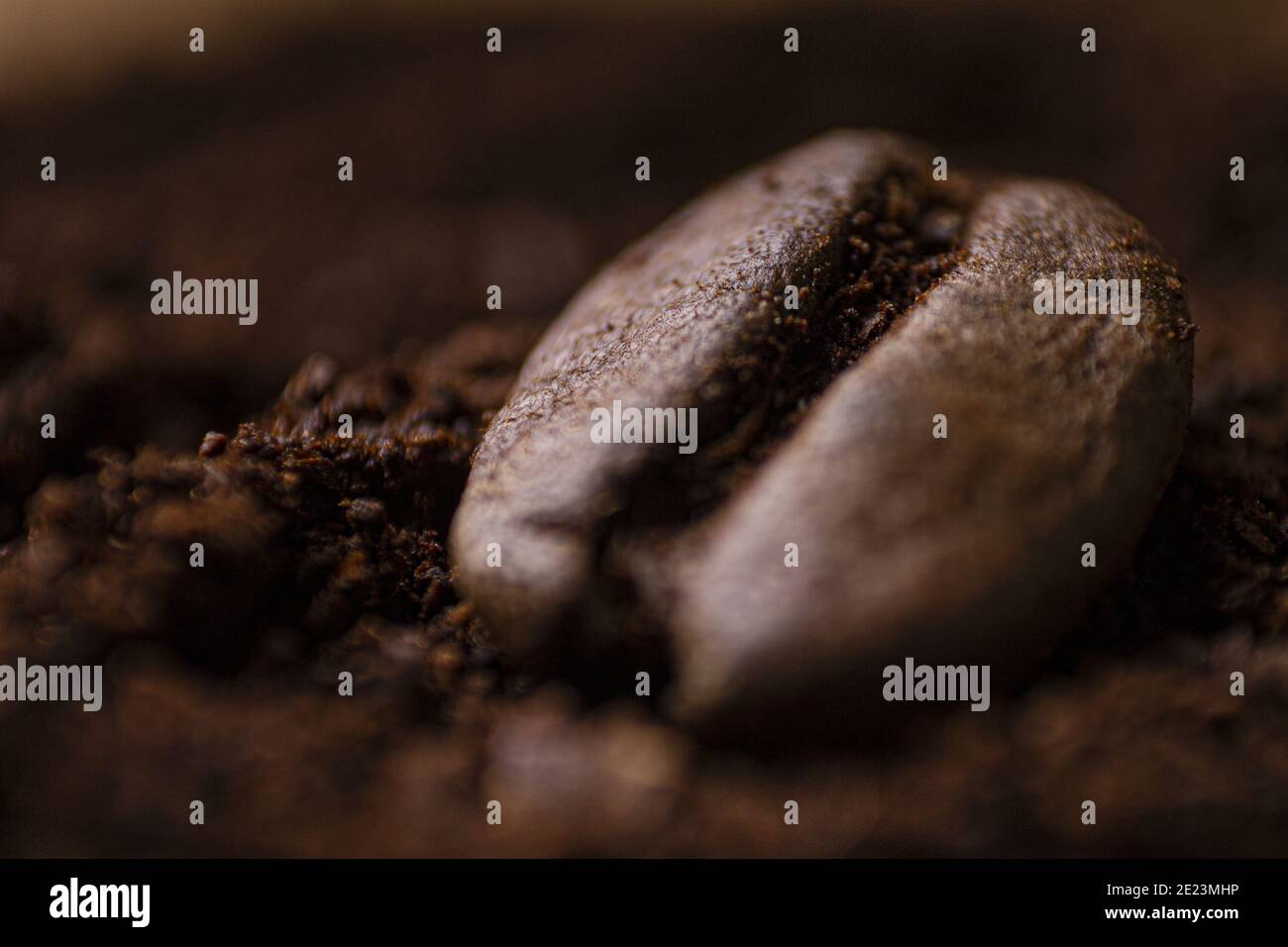 Coffee beans grounded in hi-res stock photography and images - Alamy