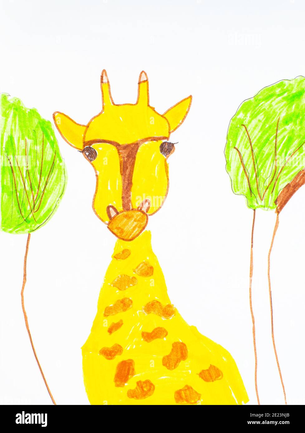 Competition Animals Drawing