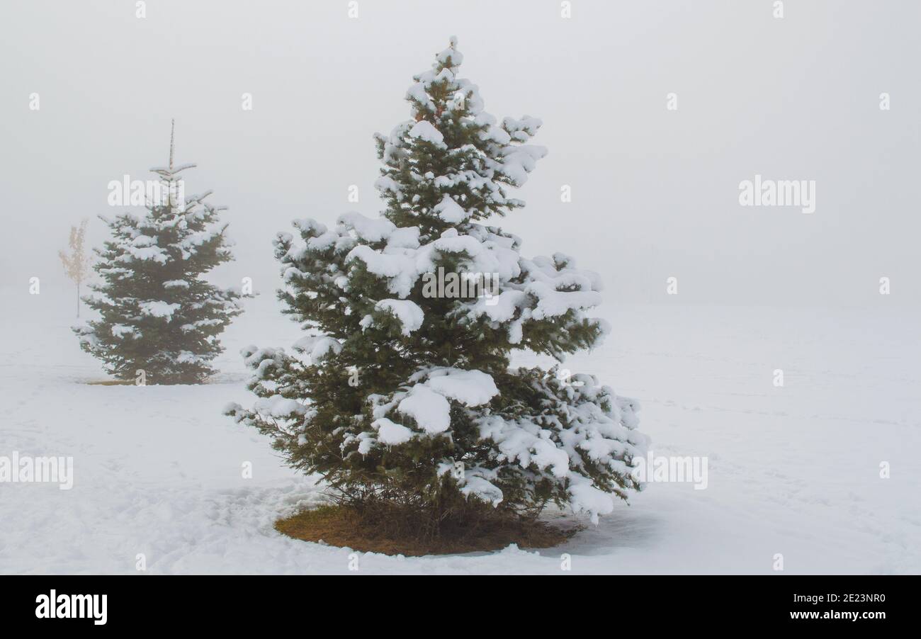 Pea soup fog hi-res stock photography and images - Alamy