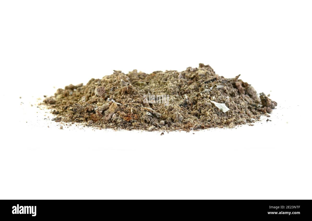 Ash isolated on white background Stock Photo - Alamy