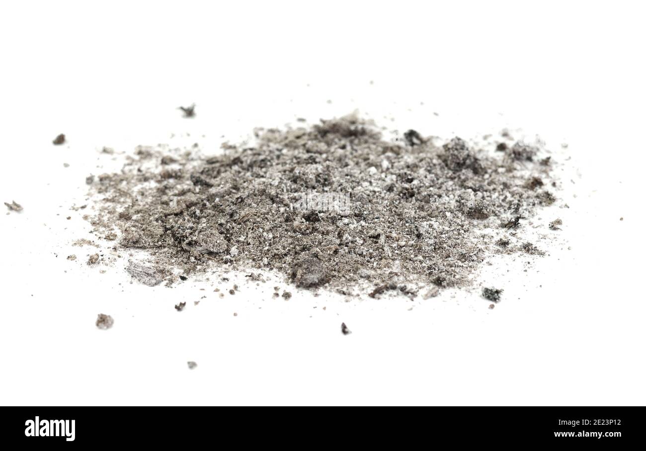 Ash isolated on white background Stock Photo - Alamy