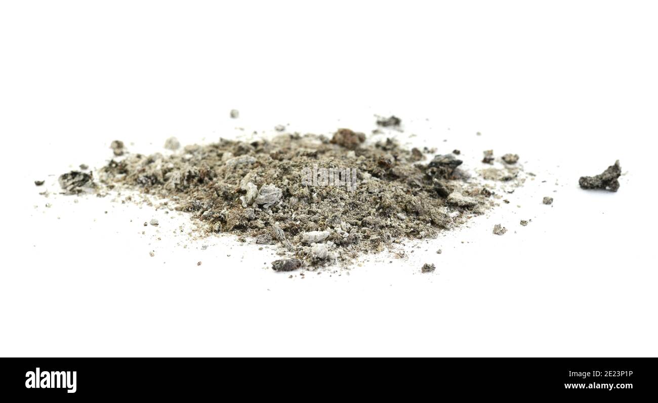 Ash isolated on white background Stock Photo - Alamy