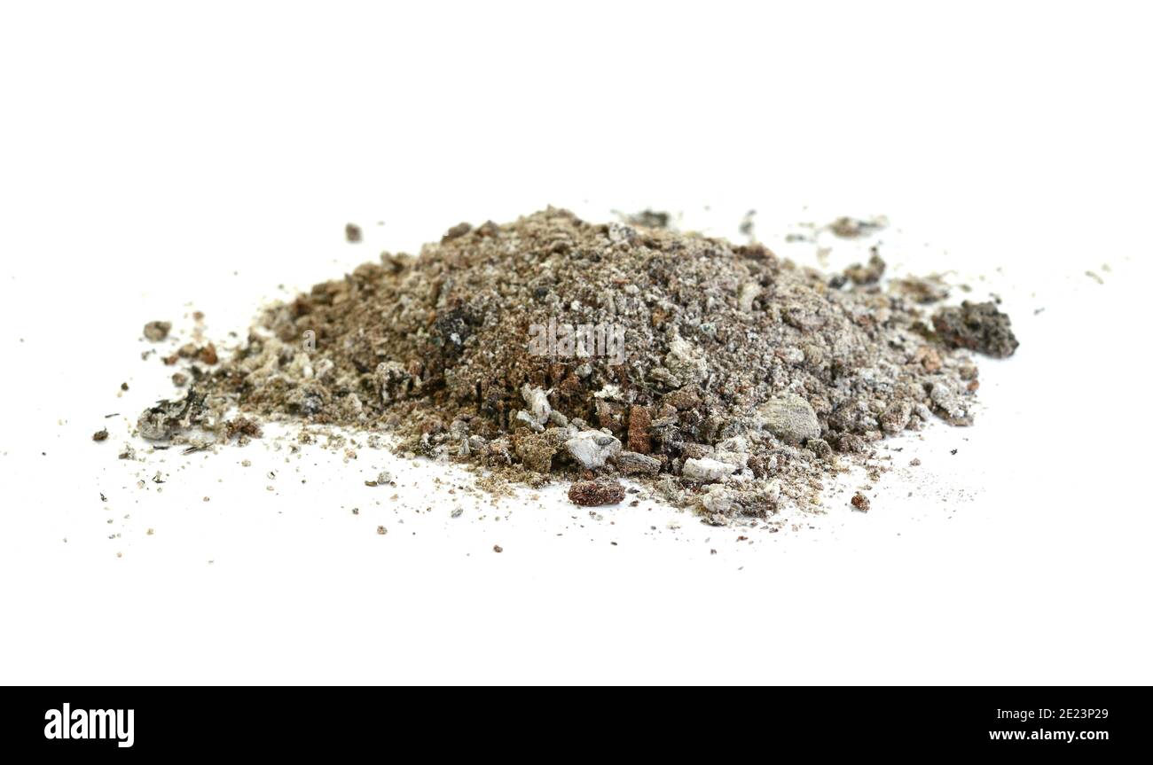 Ash isolated on white background Stock Photo - Alamy