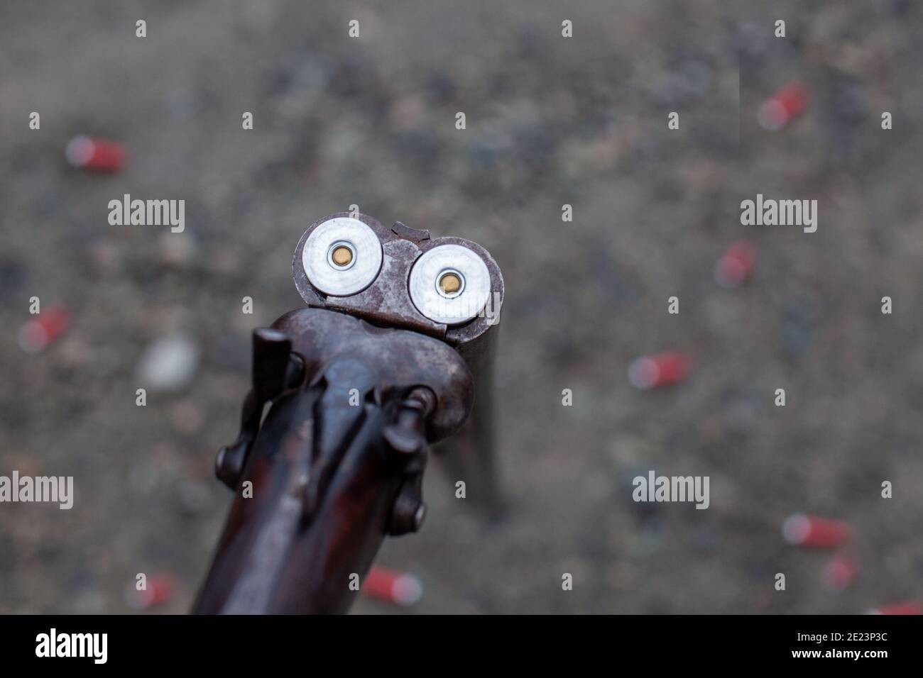 An old, vintage, break-action double-barrel shotgun featuring two ...