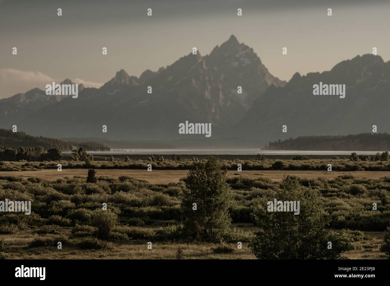 Willow Flats with Grand Teton In The Distance on hazy summer day Stock ...