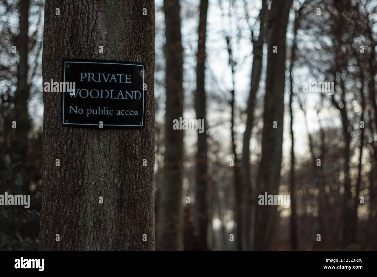 Tree in the middle of the woods with sign Private Land Stock Photo - Alamy
