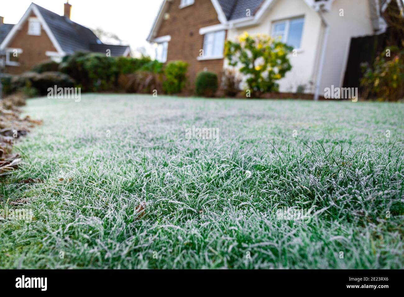 Grass lover hi-res stock photography and images - Alamy