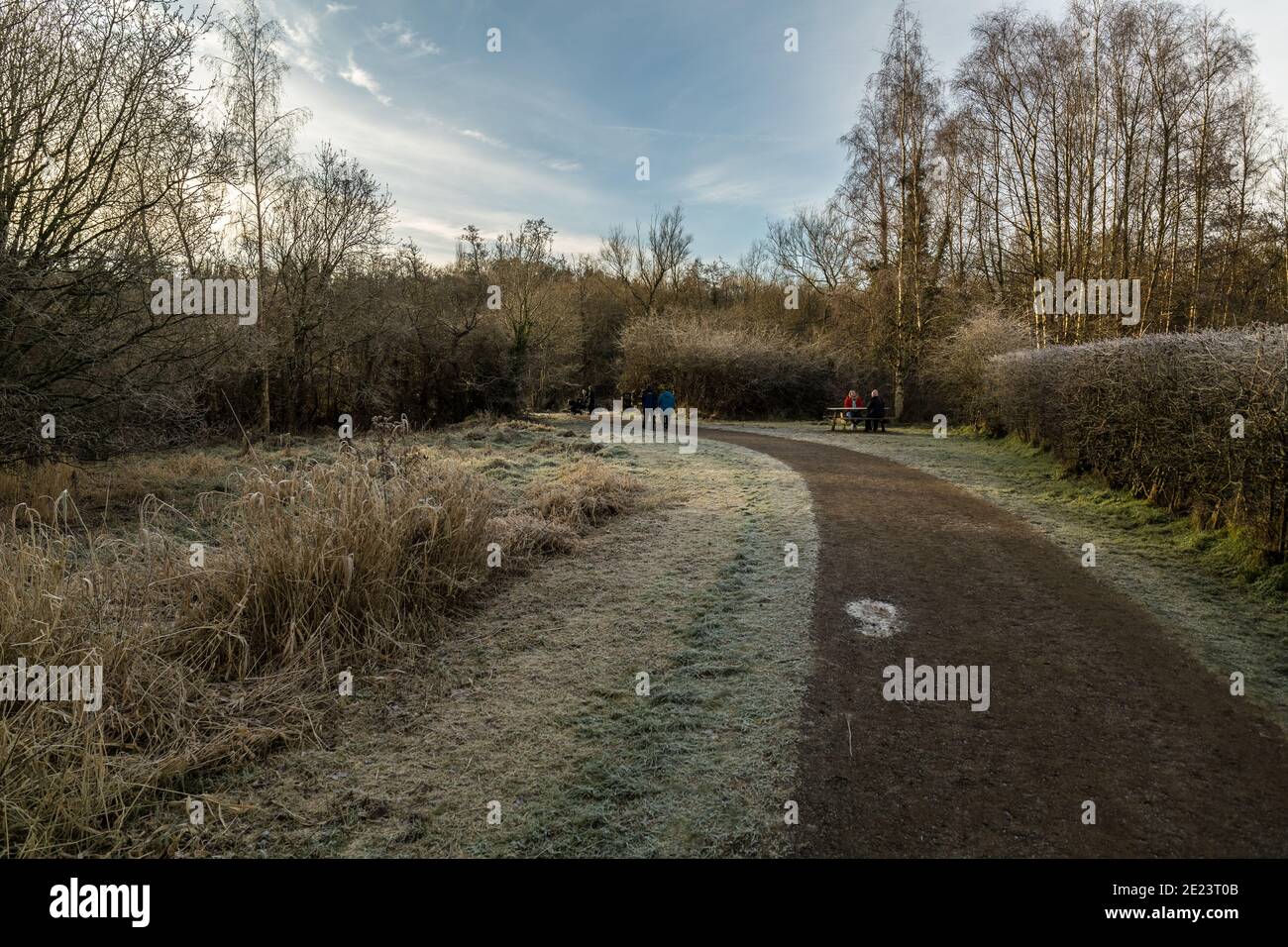 Optimistic nature hi-res stock photography and images - Alamy