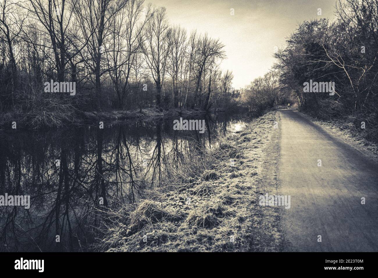 Path of life Stock Photo - Alamy