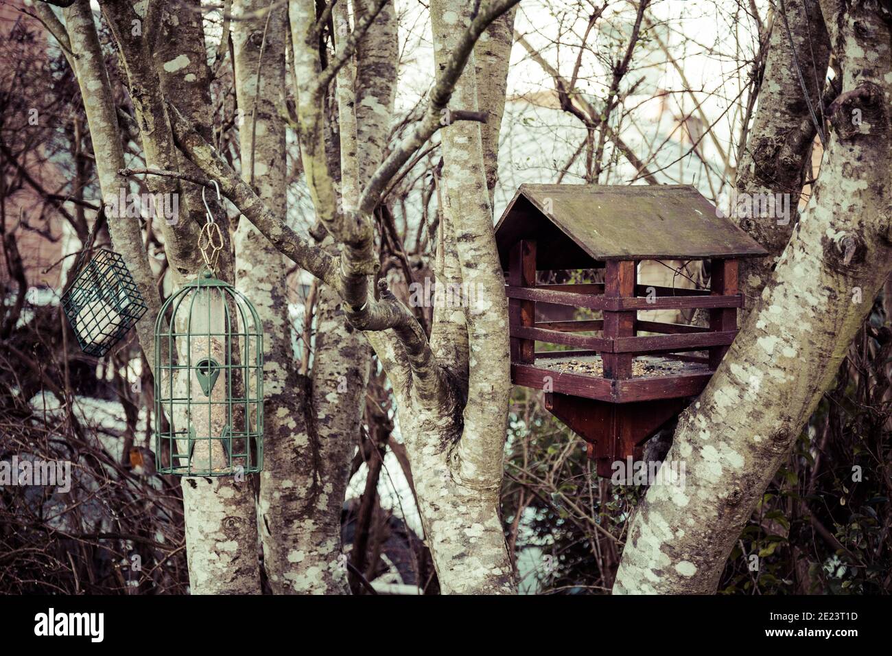 Care photos hi-res stock photography and images - Alamy