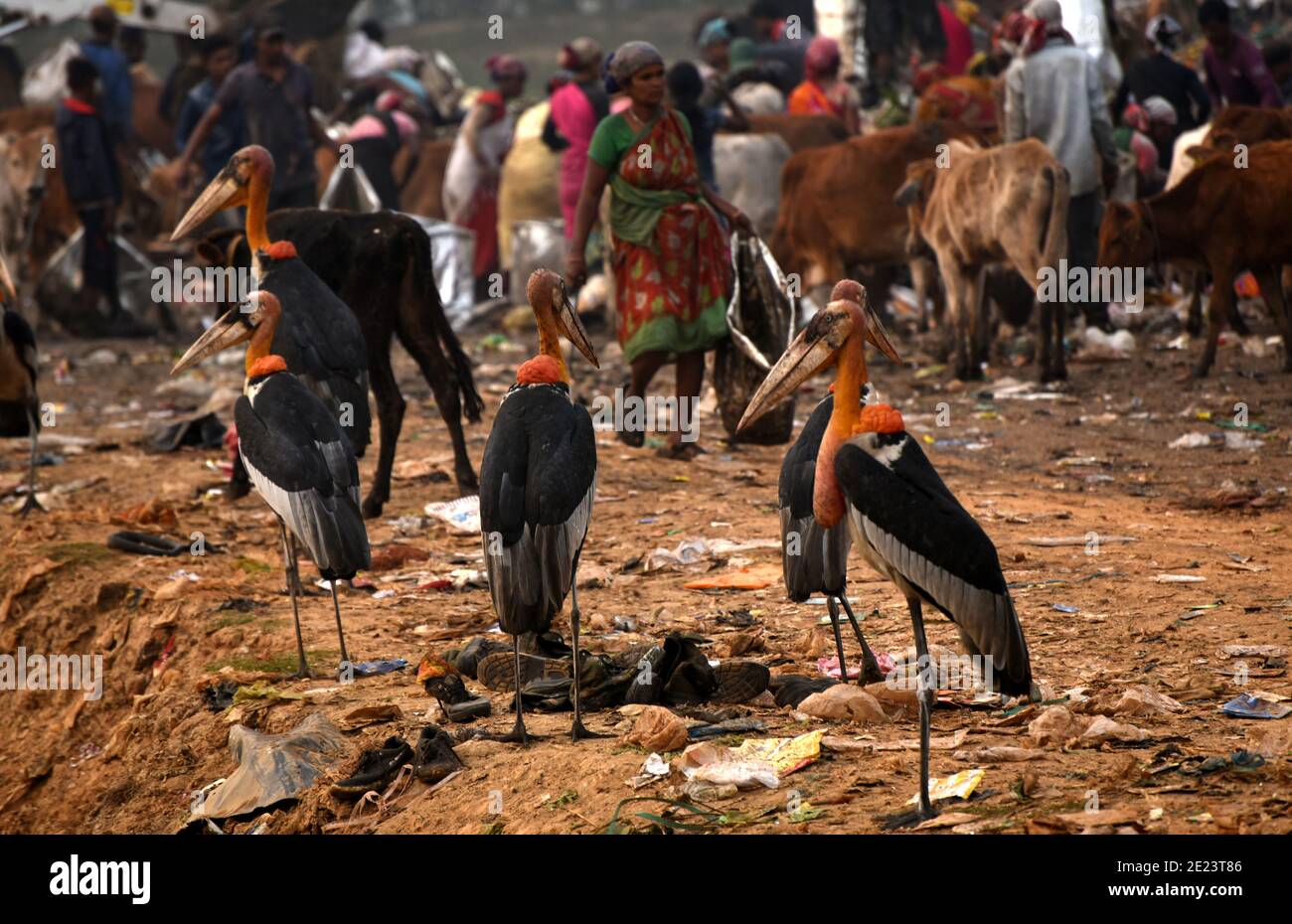 Rag pickers hi-res stock photography and images - Alamy