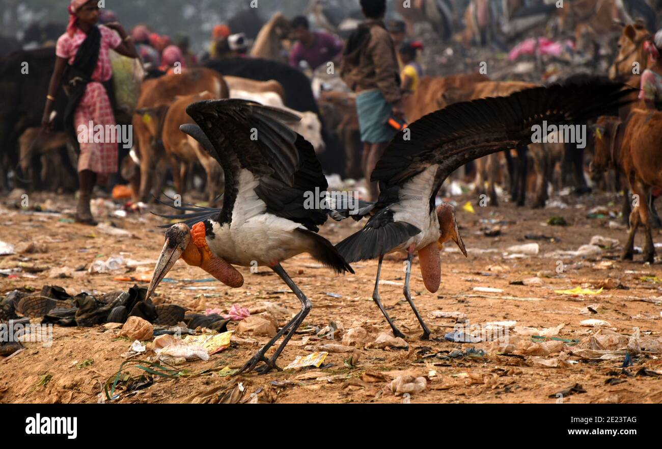 Rag pickers hi-res stock photography and images - Alamy