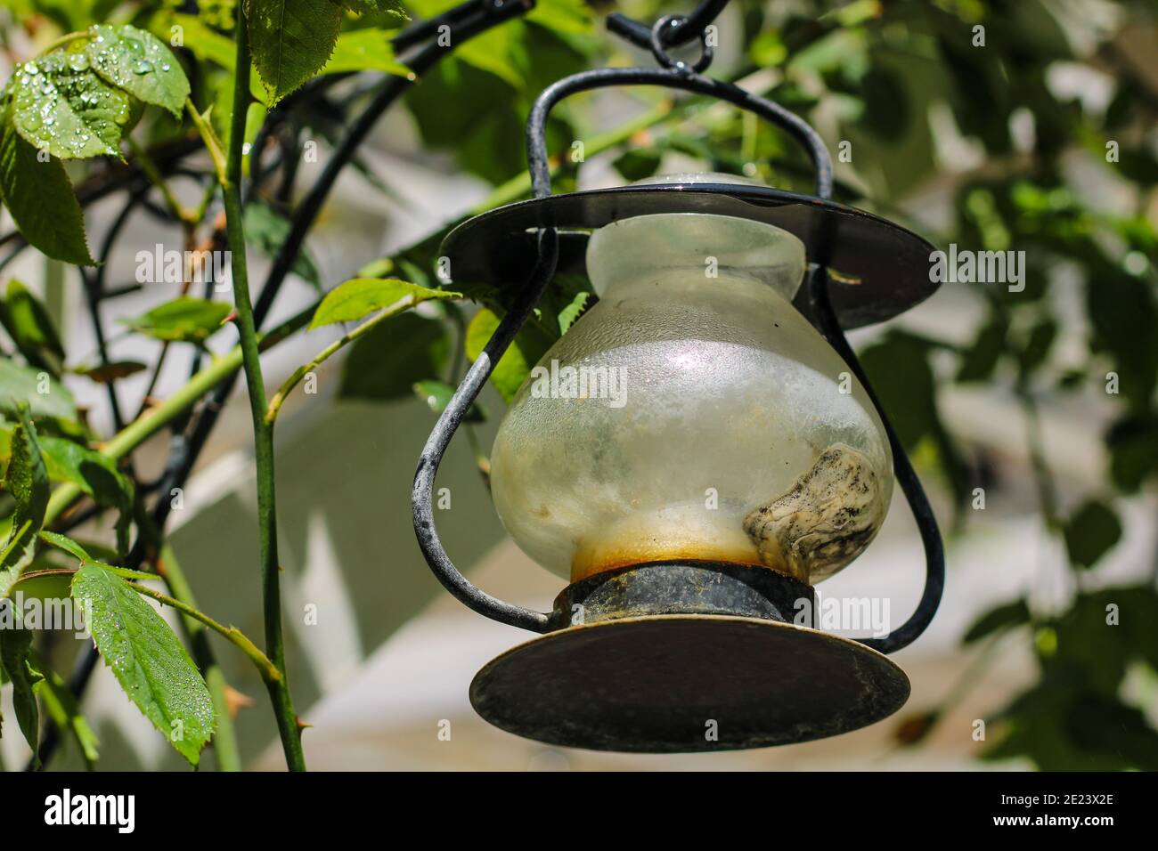 Lantern hanger hi-res stock photography and images - Alamy