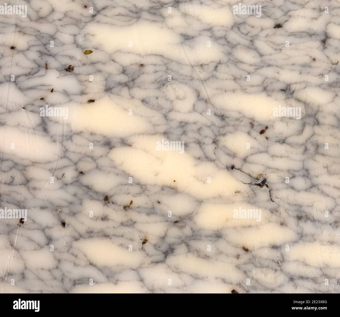 Pasteurized cheese hi-res stock photography and images - Alamy