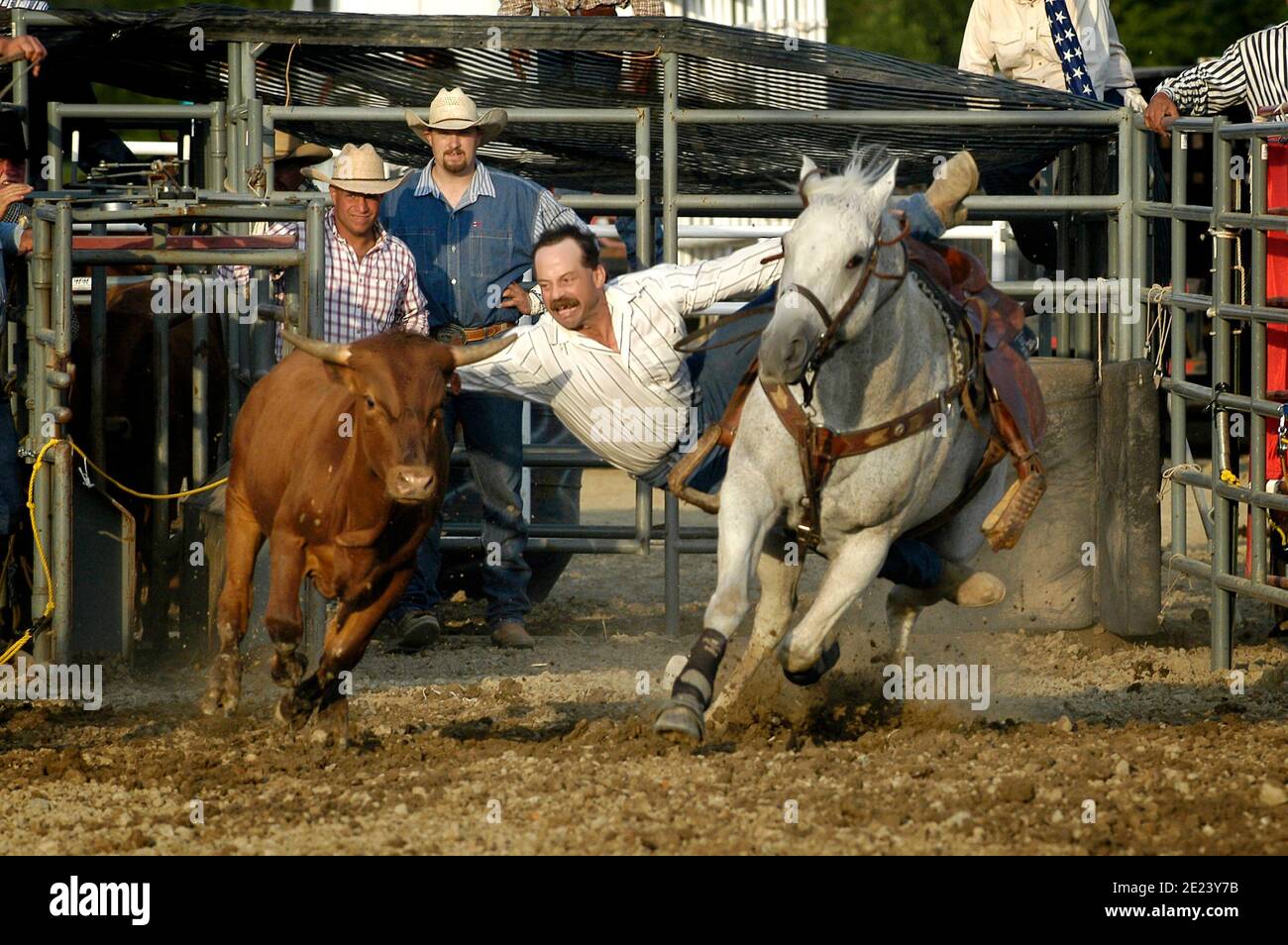 Steer wrestling in rodeo hi-res stock photography and images - Alamy