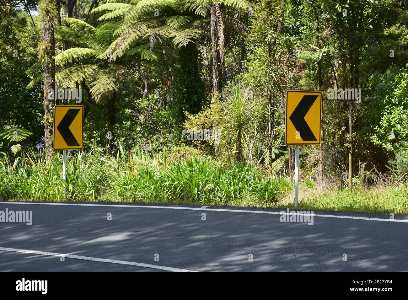 Road signs with tropical trees in the background Stock Photo - Alamy