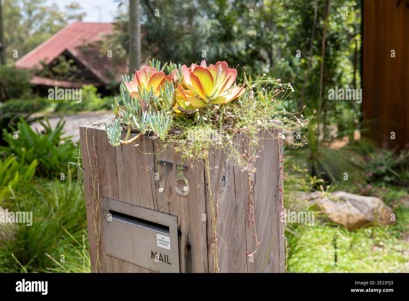Timber wooden postbox mailbox with succulent plants growing on top of ...
