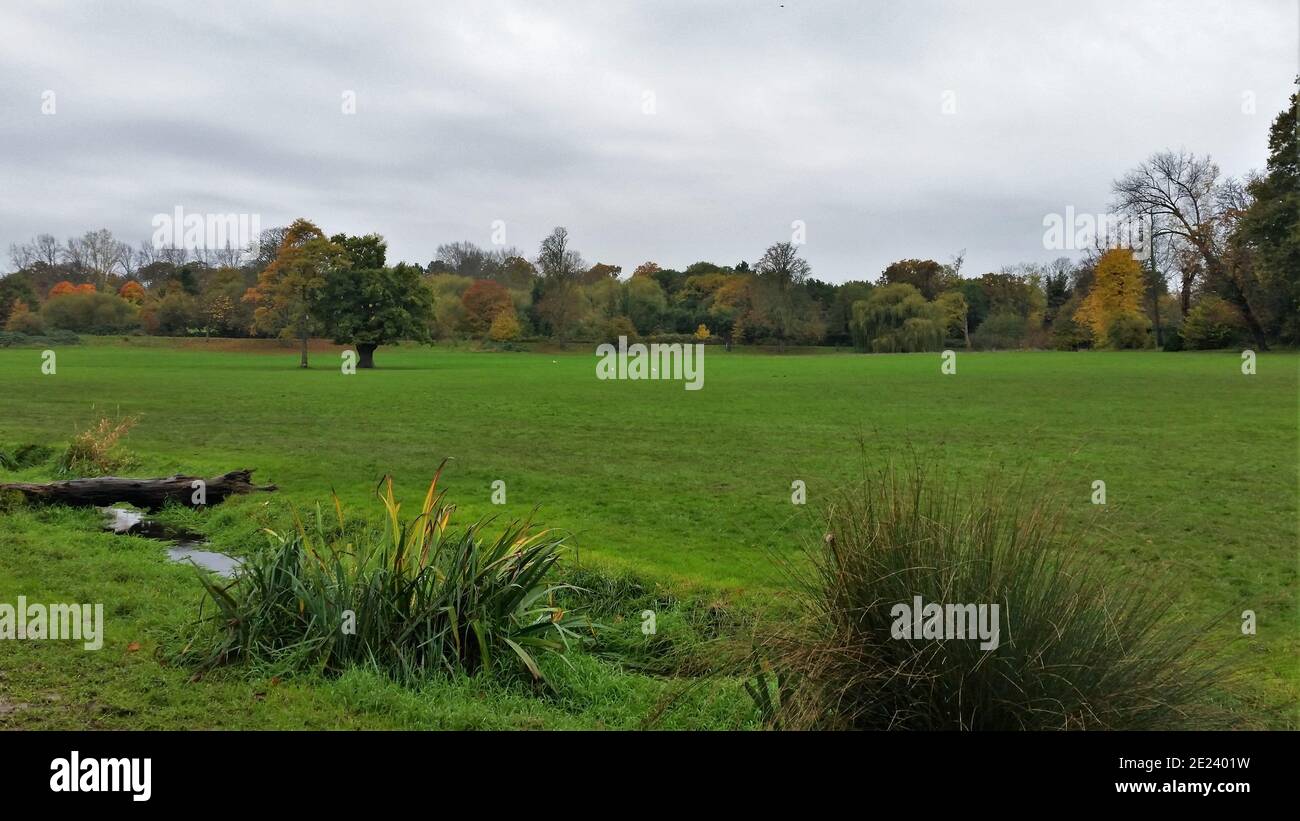 Trent park hi-res stock photography and images - Alamy