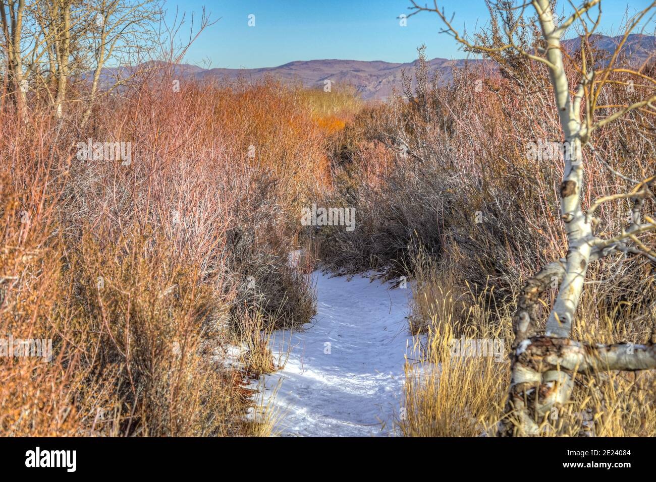 Galena creek trail hi-res stock photography and images - Alamy