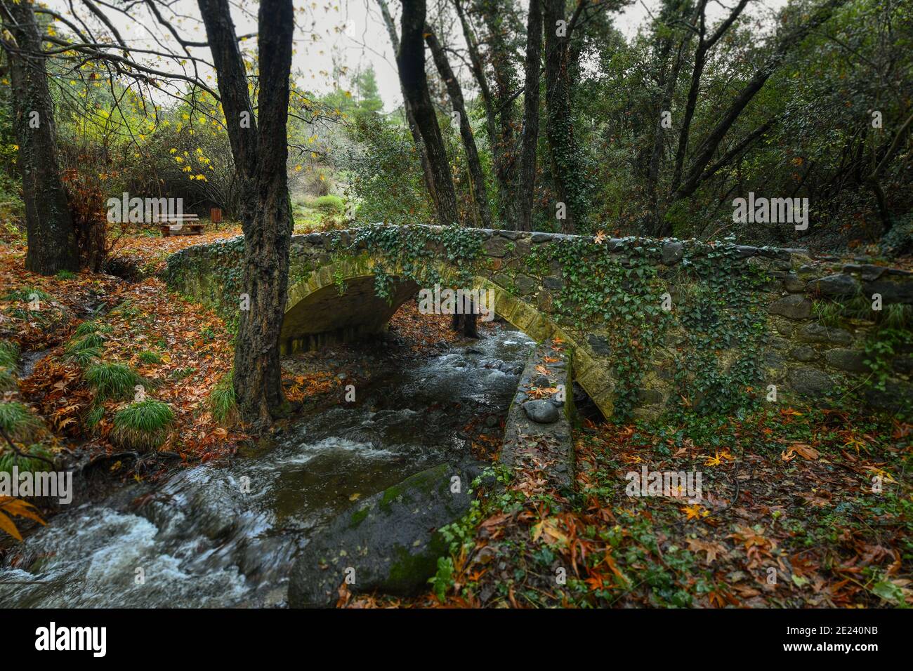 Pano platres hi-res stock photography and images - Alamy