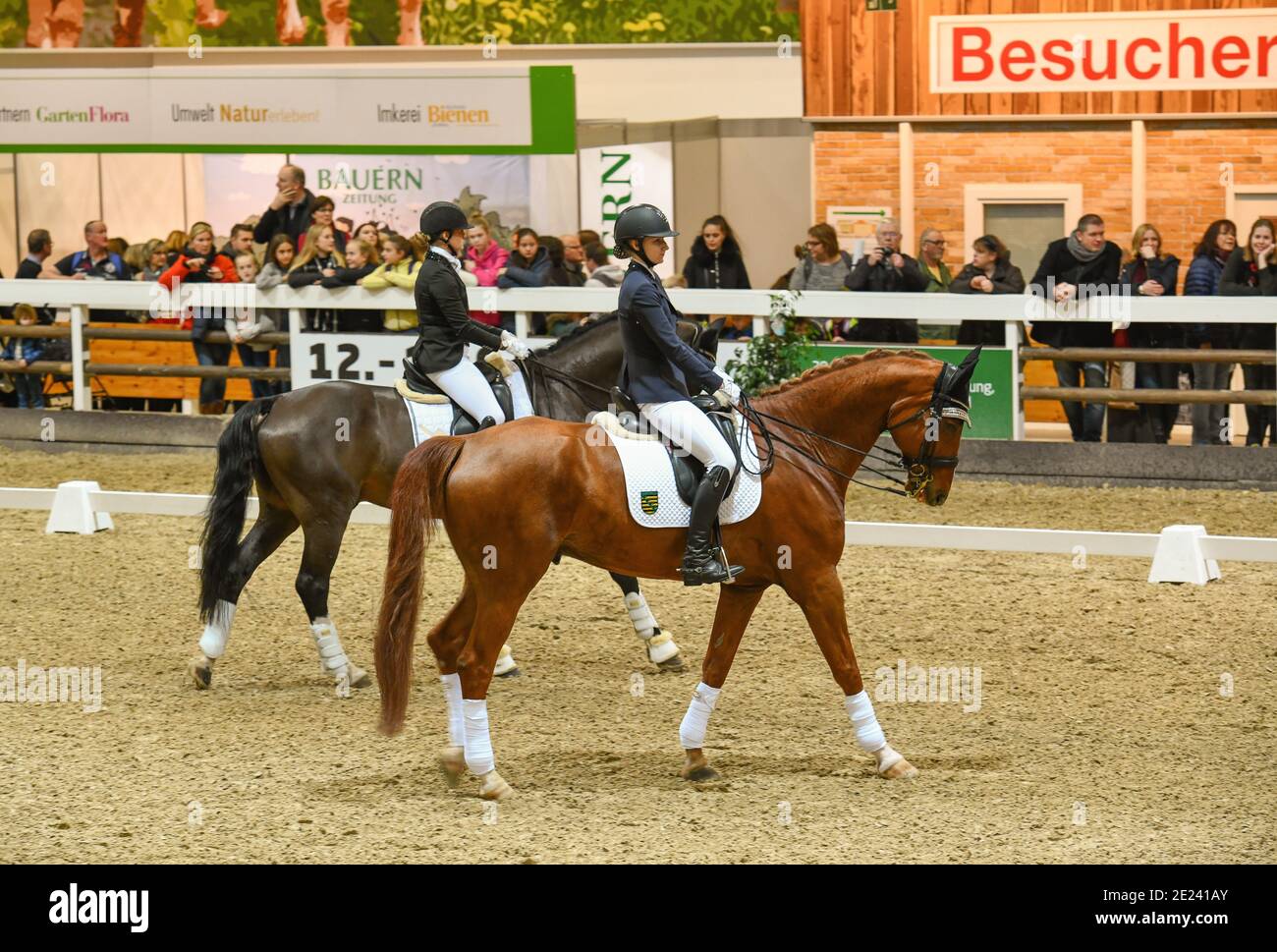 Reiterinnen, Hippologica, Tierhalle, Grüne Woche, Messe, Berlin ...