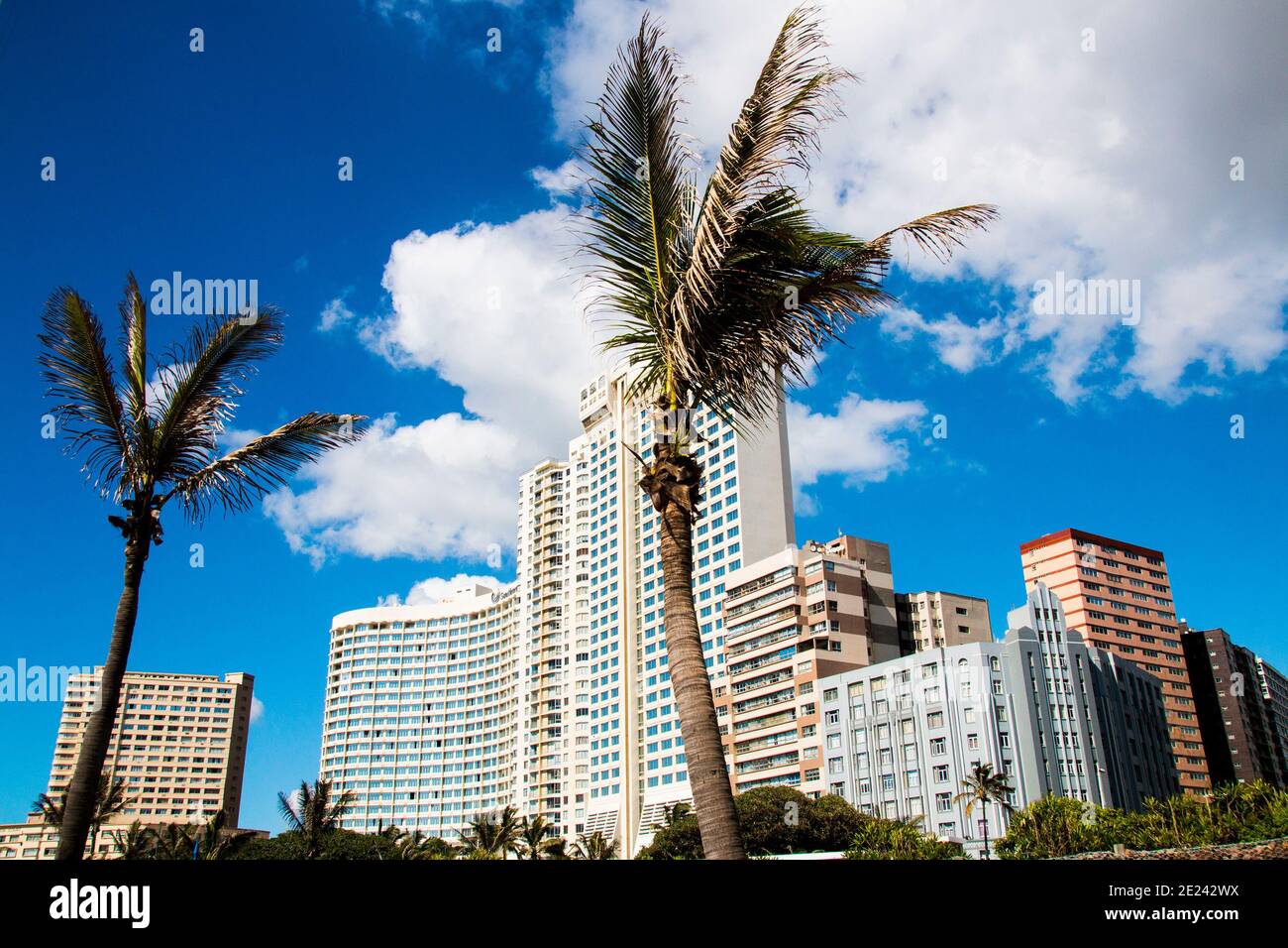 Tall beachfront buildings palms hi-res stock photography and images - Alamy