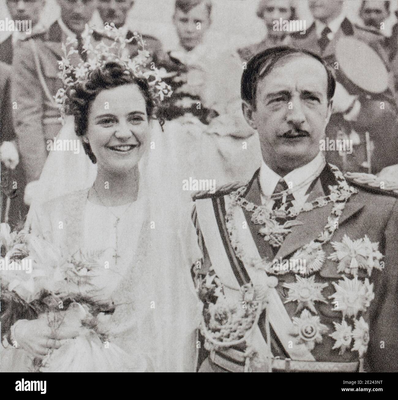 Zog hi-res stock photography and images - Alamy