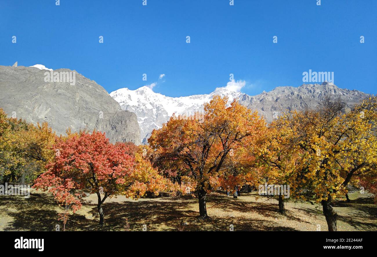 Autumn, also known as fall in North American English, is one of the ...