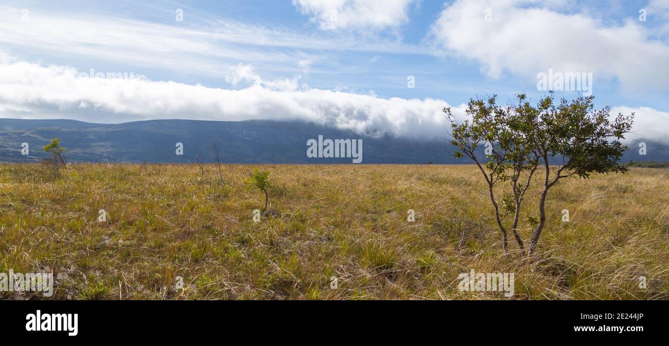 The beautiful campos rupestres in the Serra do Cipó National Park in ...