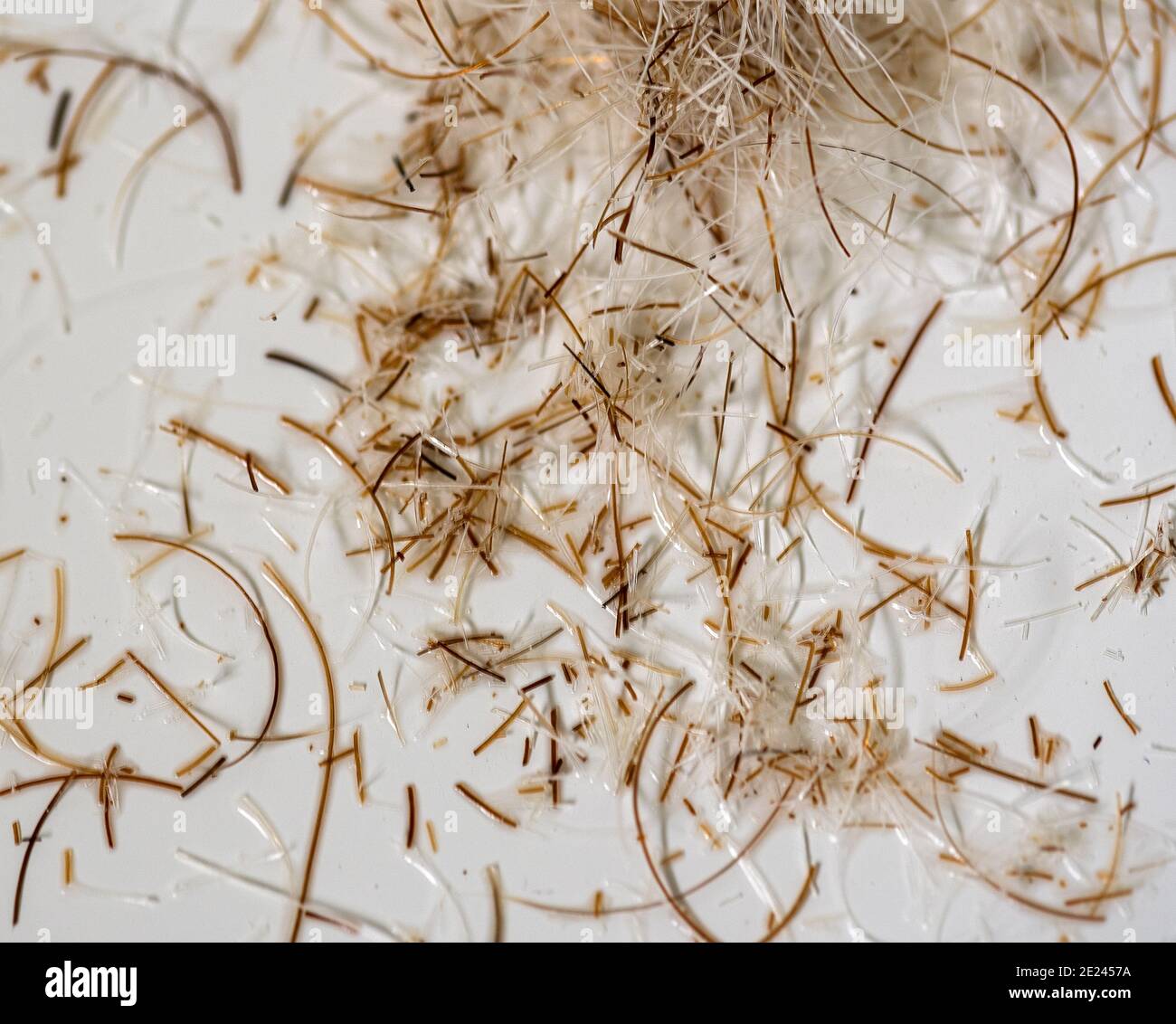 Shaving basin hi-res stock photography and images - Alamy