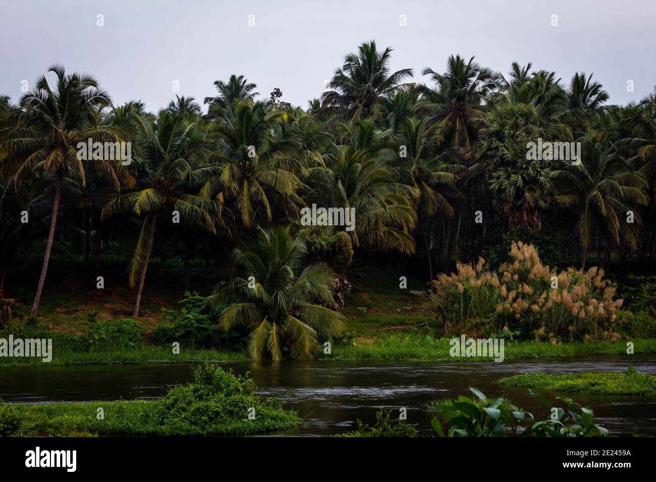 Pollachi hi-res stock photography and images - Alamy