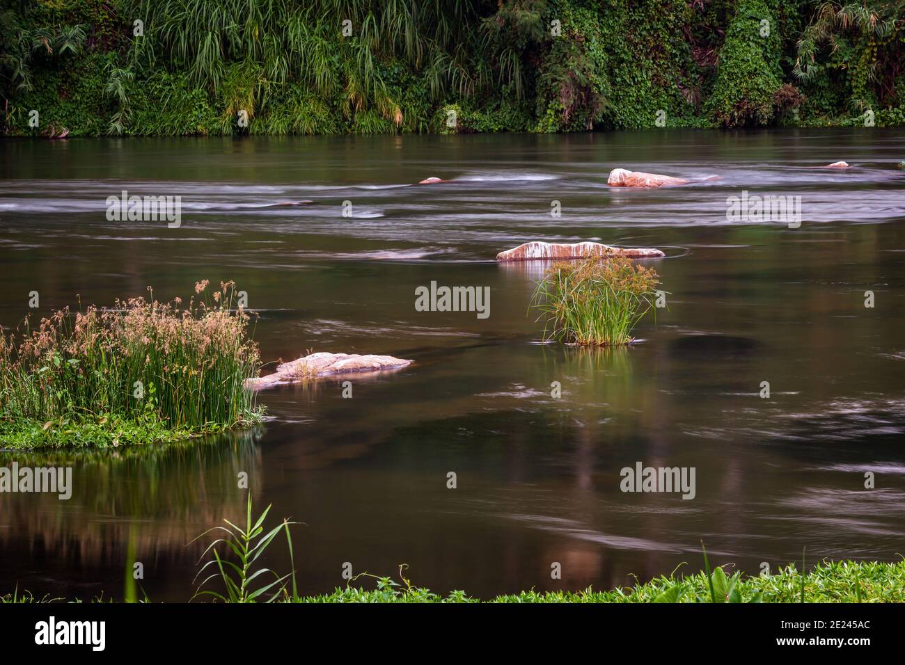 View of smooth and silky flow of water in Bharathappuzha River (also ...