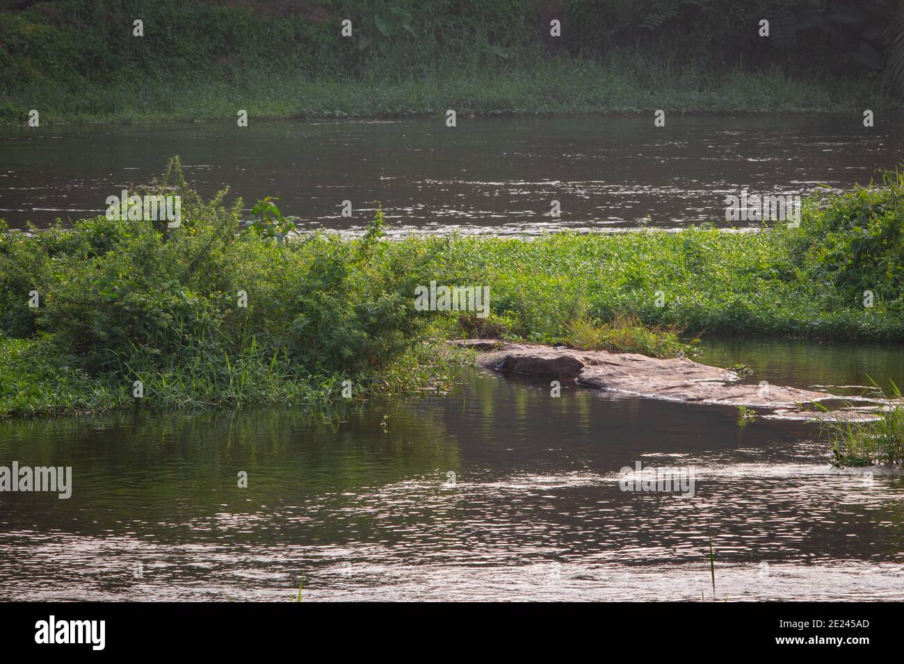 Pollachi hi-res stock photography and images - Alamy