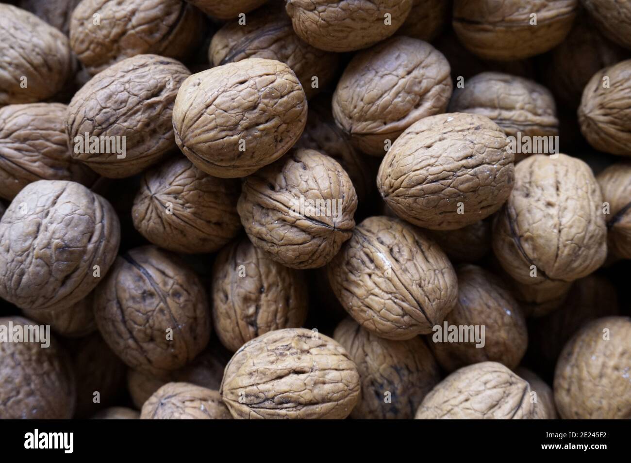 Pile of dry walnuts with shells Stock Photo - Alamy