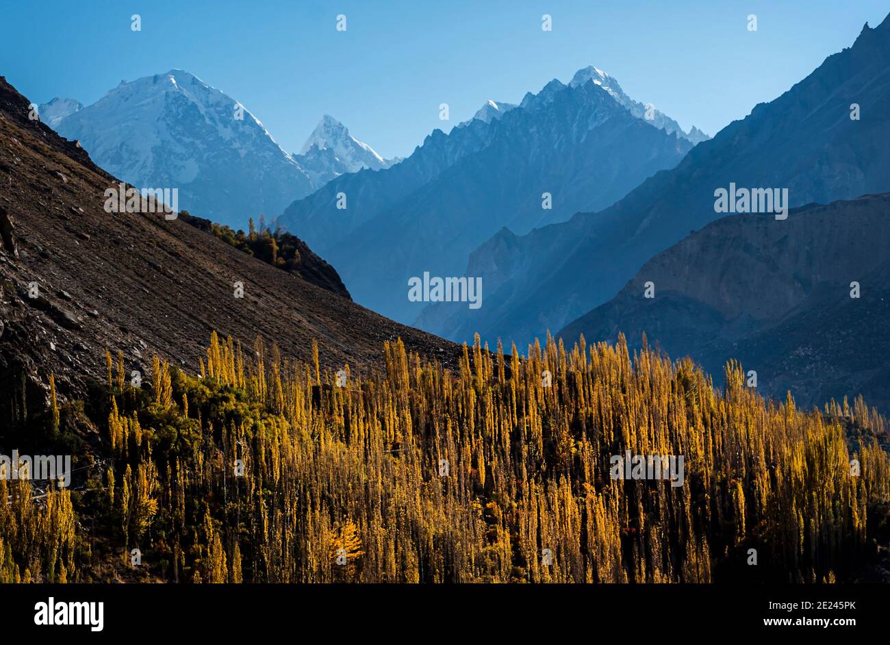 Autumn, also known as fall in North American English, is one of the ...