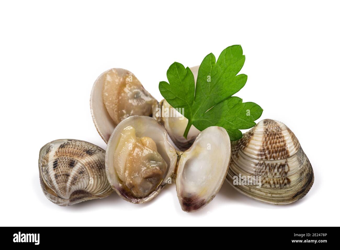 Clams group isolated on white background Stock Photo - Alamy