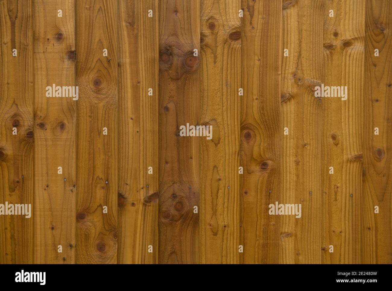 Background or Texture of Damp Wooden Feather Edge Fence Boards in Rural ...