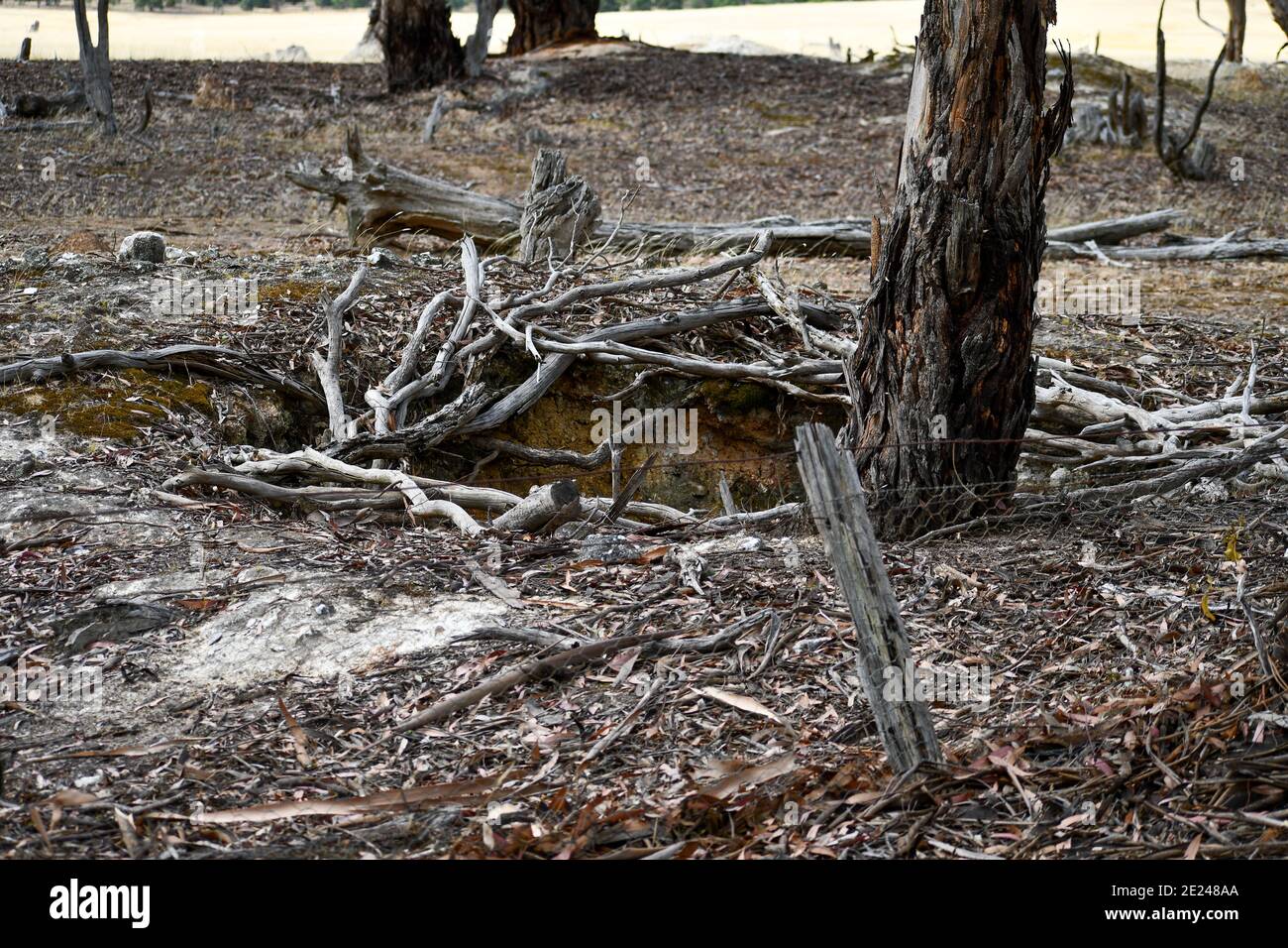 Old gold mine shaft opening Stock Photo - Alamy