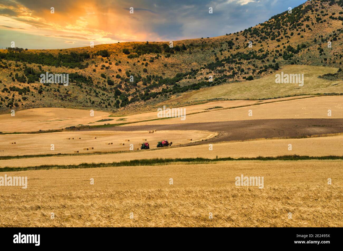Landscape of brown farm field with mountain trees background in the ...