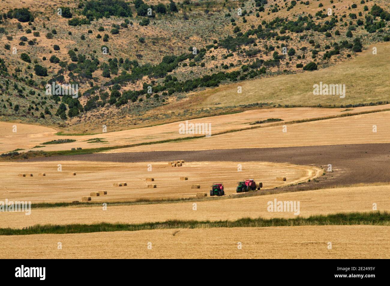 Landscape of brown farm field with mountain trees background in the ...