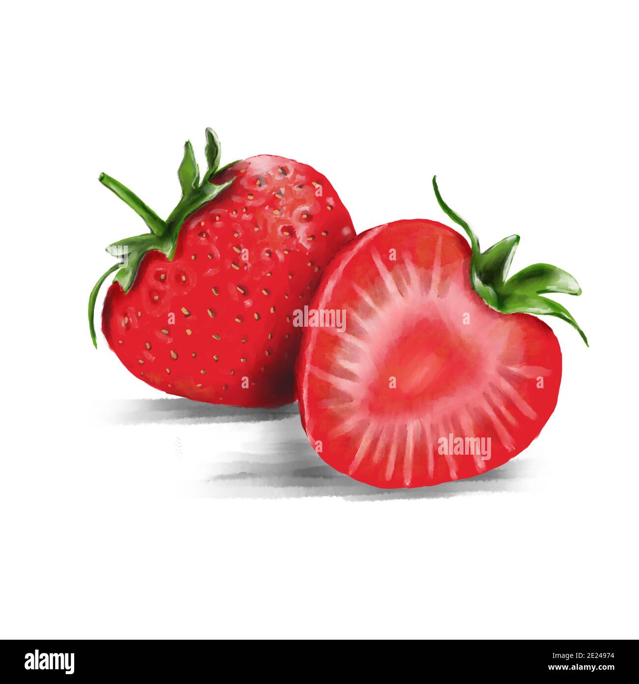 watercolor illustration of hand drawn strawberries Stock Photo - Alamy