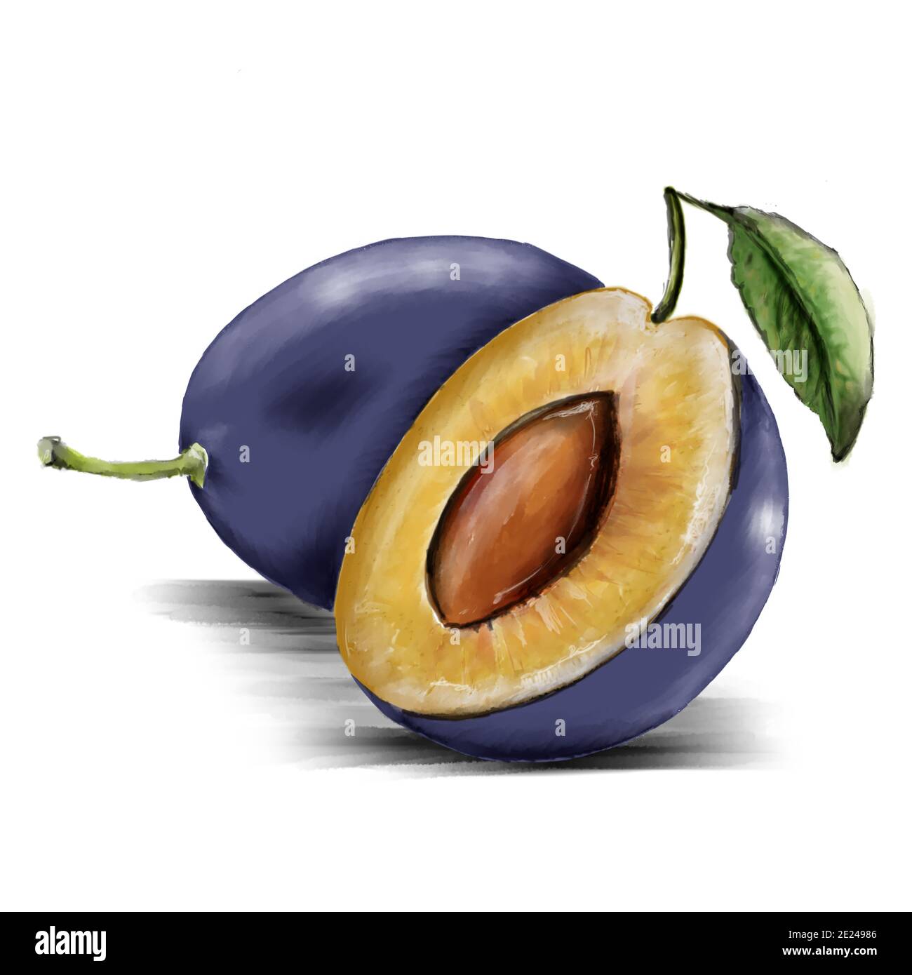 illustration of plums plums hand drawing Stock Photo - Alamy