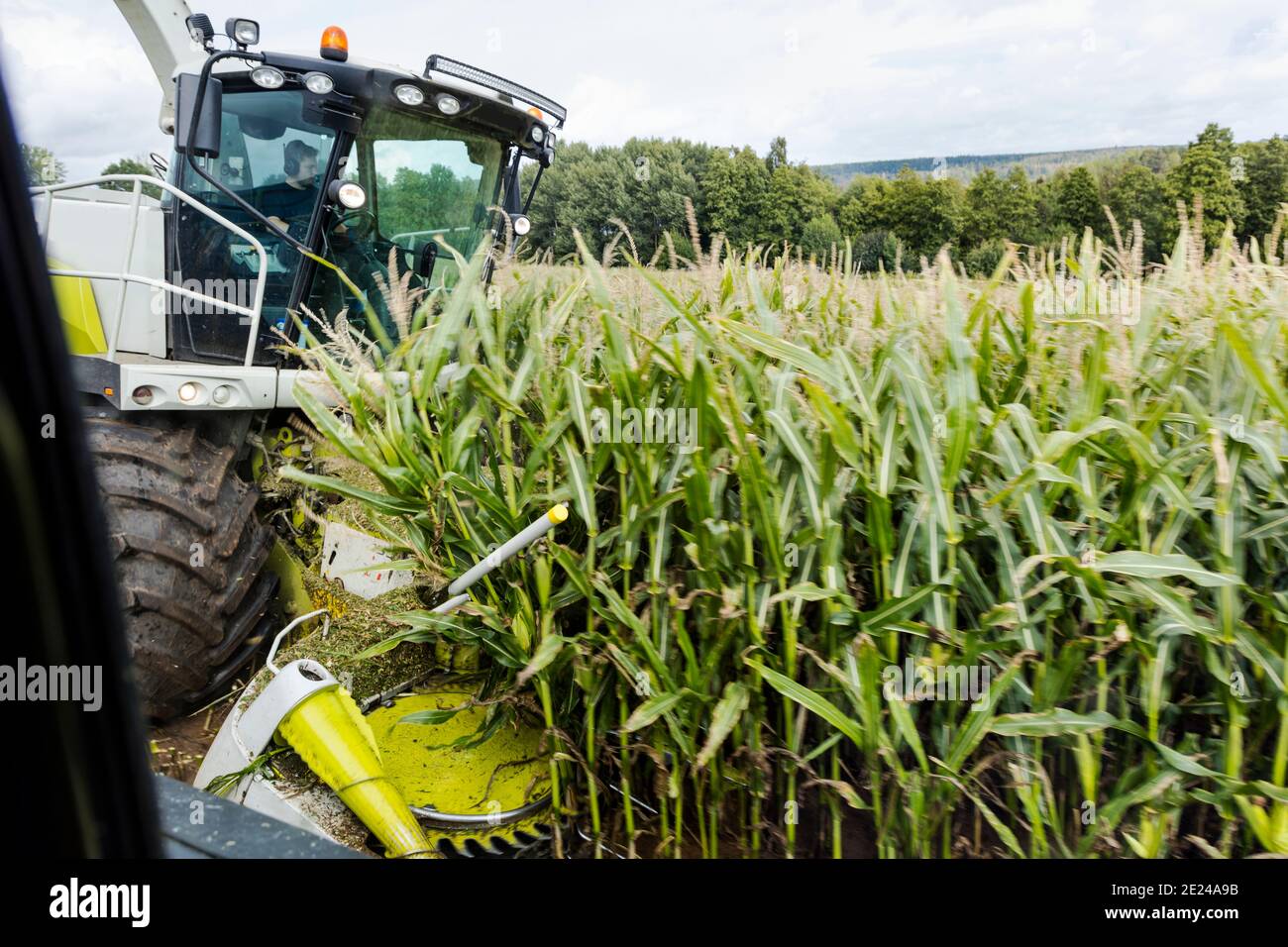 Corn field farm corn tractor hi-res stock photography and images - Alamy