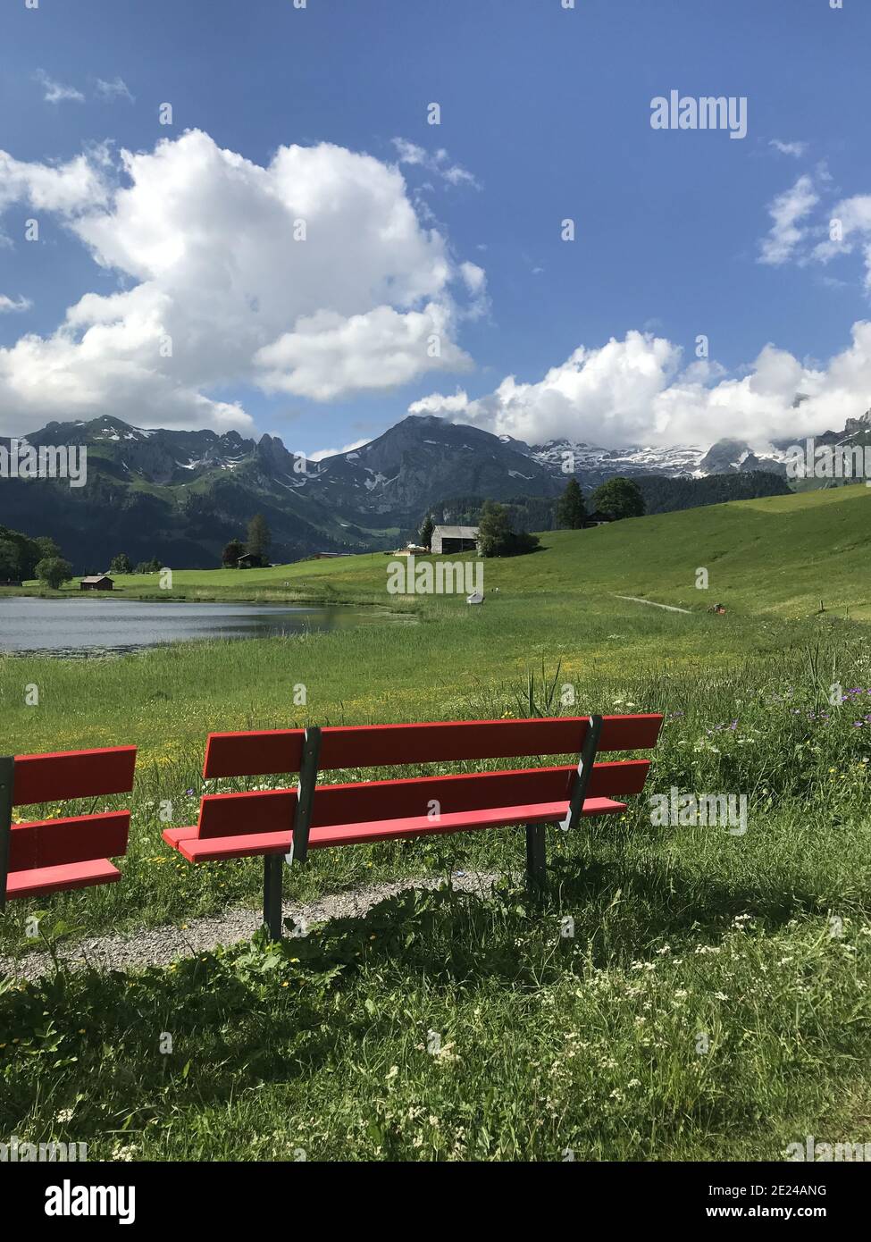Vertical shot of benches in a green grassy land with mountains in the ...