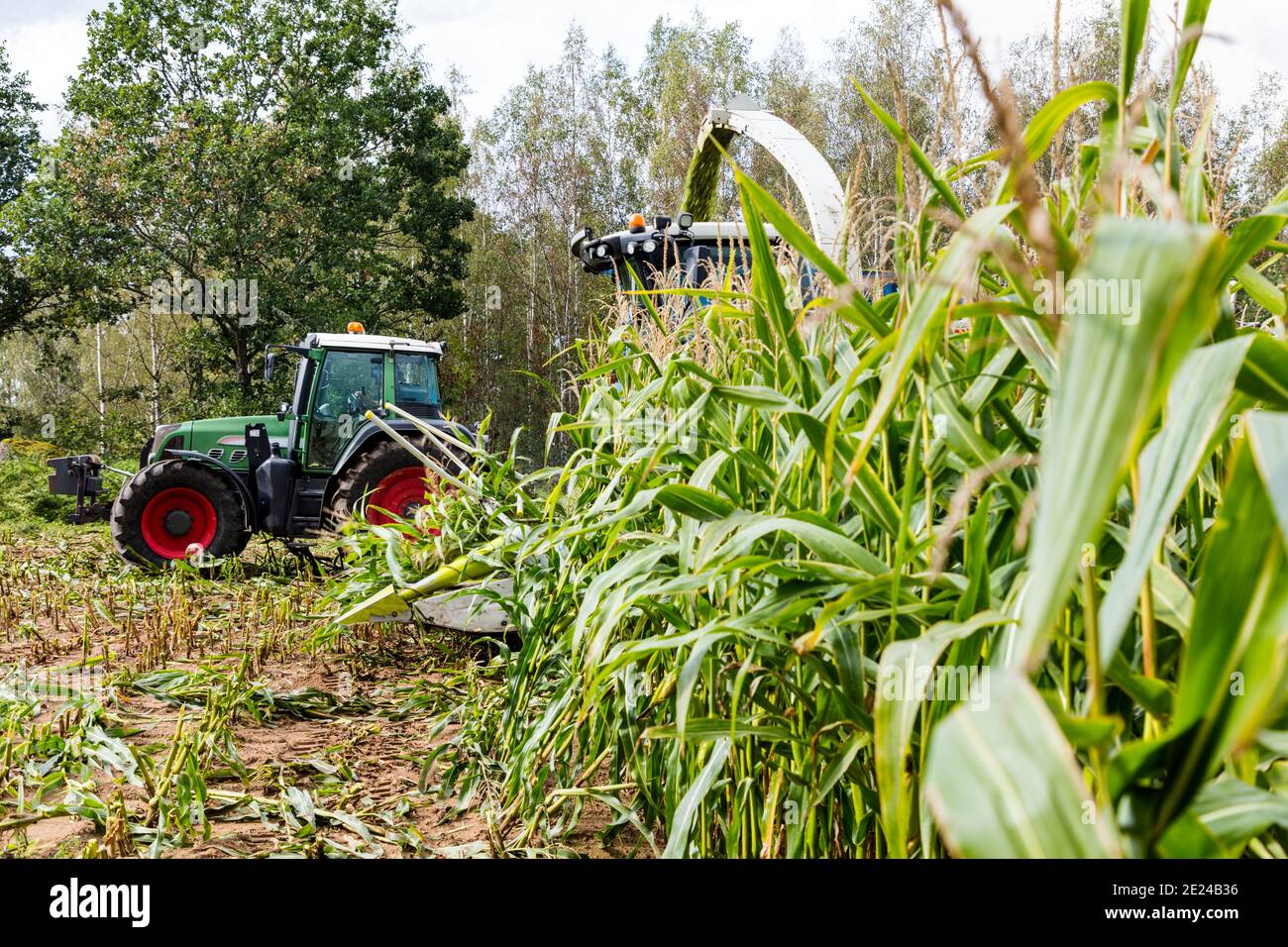 Corn and fruits hi-res stock photography and images - Alamy
