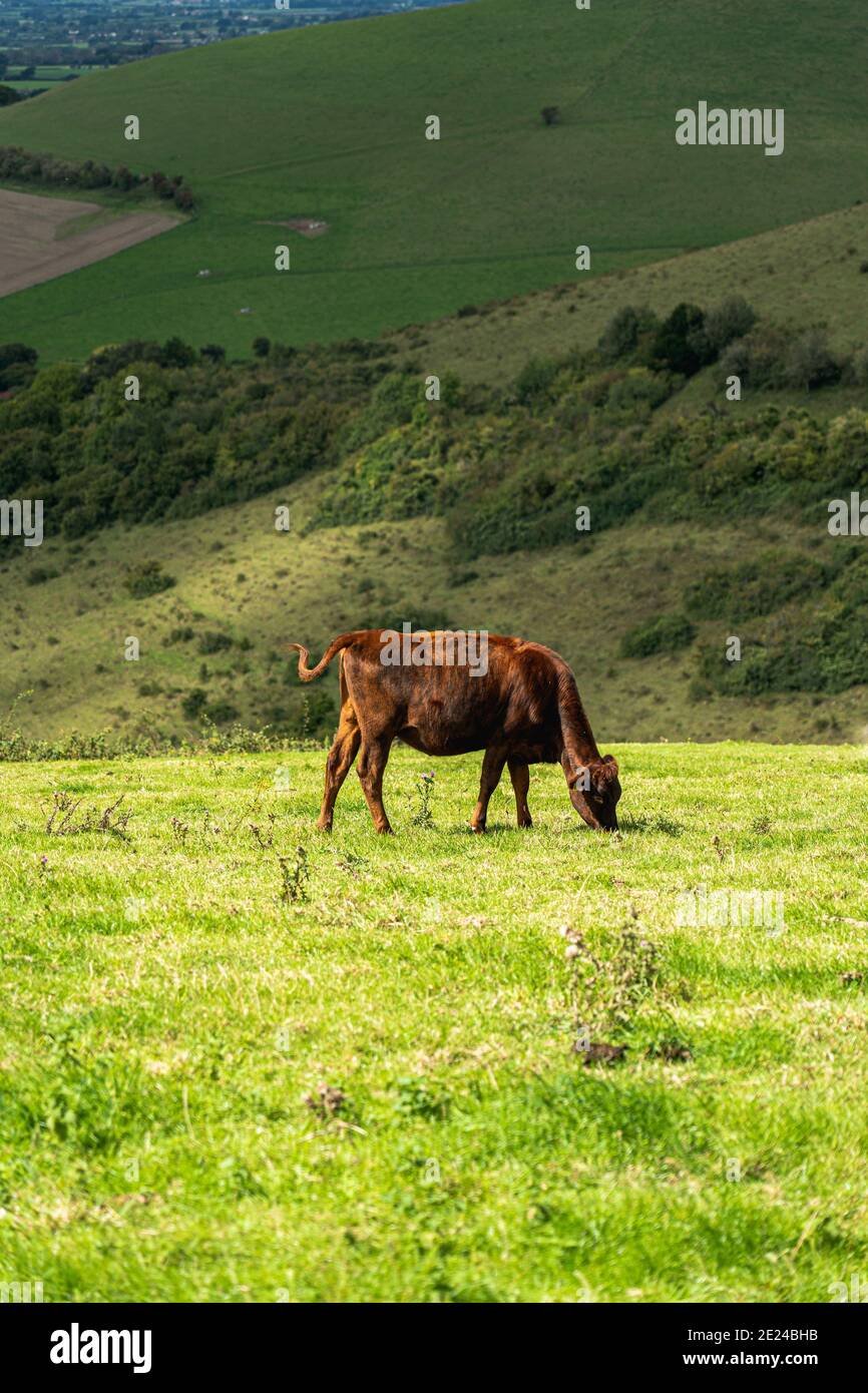 Fontmell and melbury downs hi-res stock photography and images - Alamy