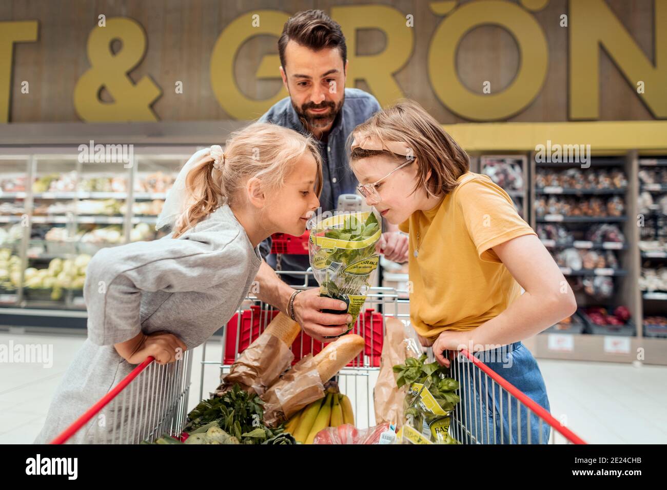 Father with daughters doing shopping in supermarket Stock Photo - Alamy