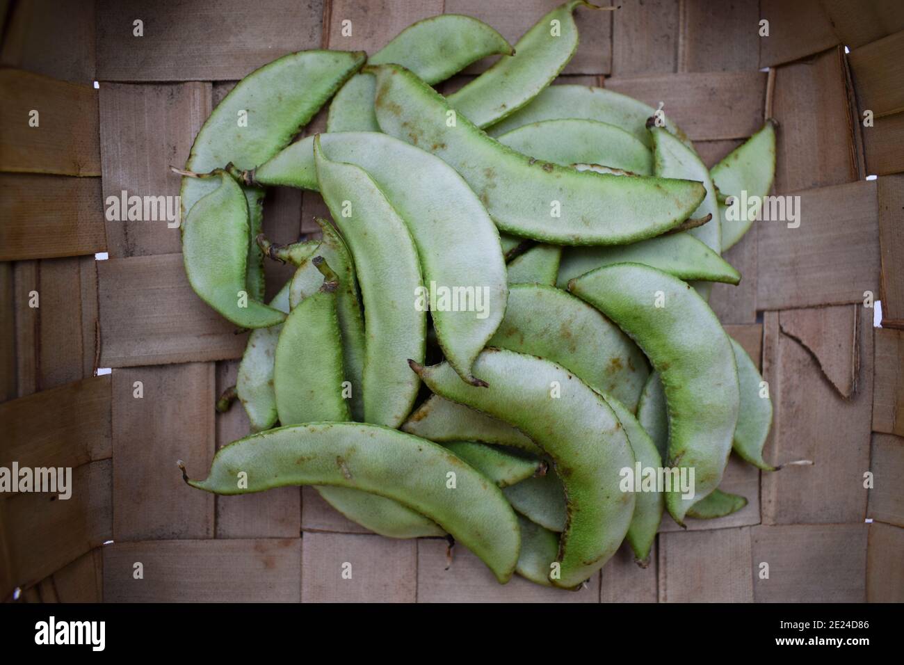 Hyacinth bean Indian papdi or Egyptian kidney beans a special winter ...