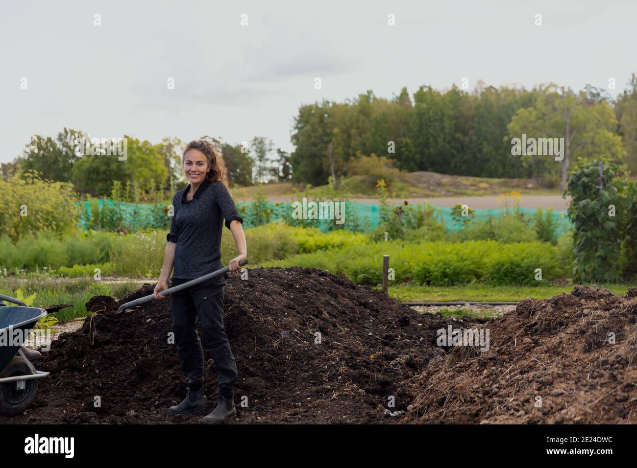 Woman dig digging in garden hi-res stock photography and images - Alamy